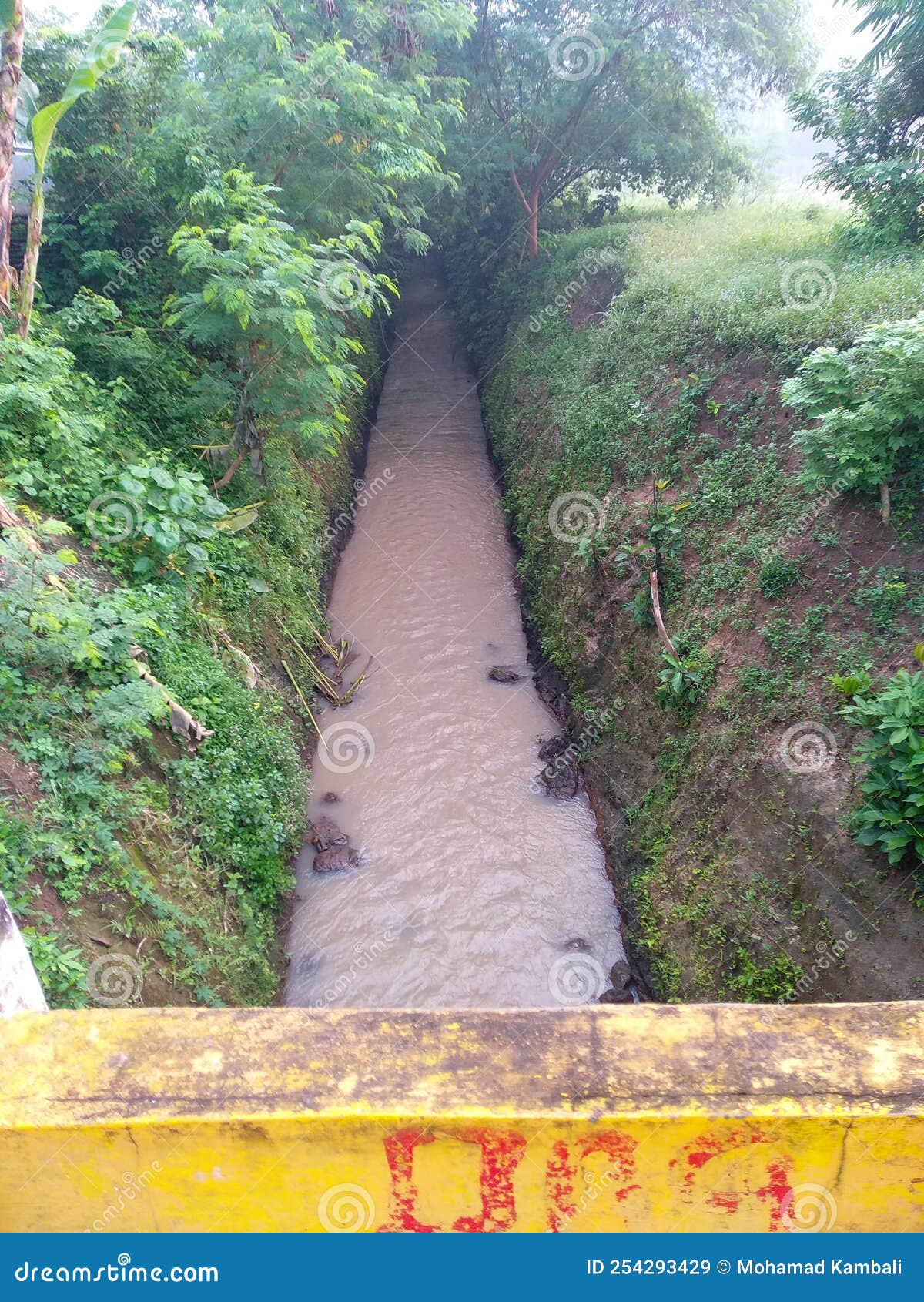 Wood Water Gutter Bridge River Stock Image - Image of yard, grass ...