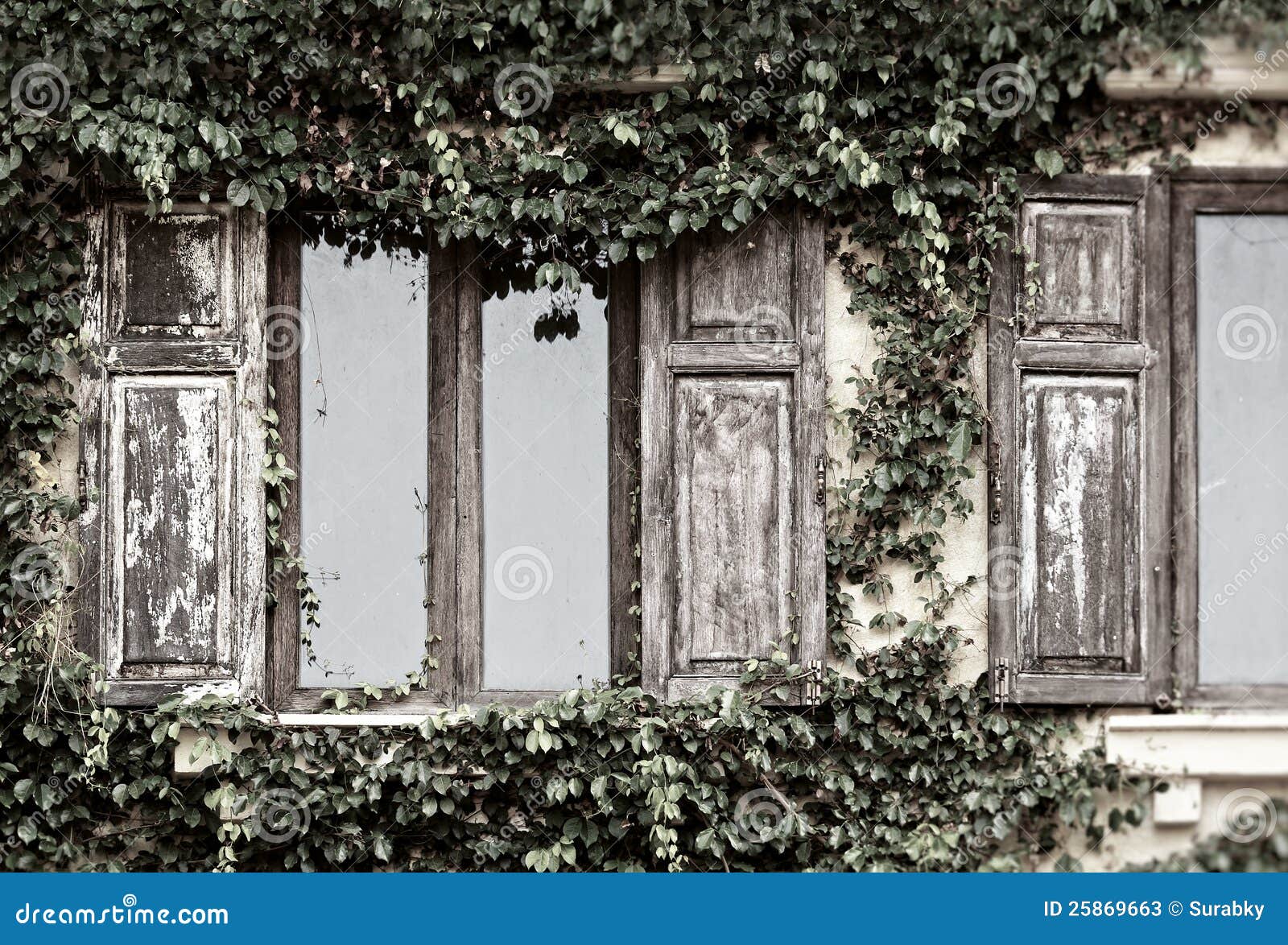 Wood window and creeper stock image. Image of country - 25869663