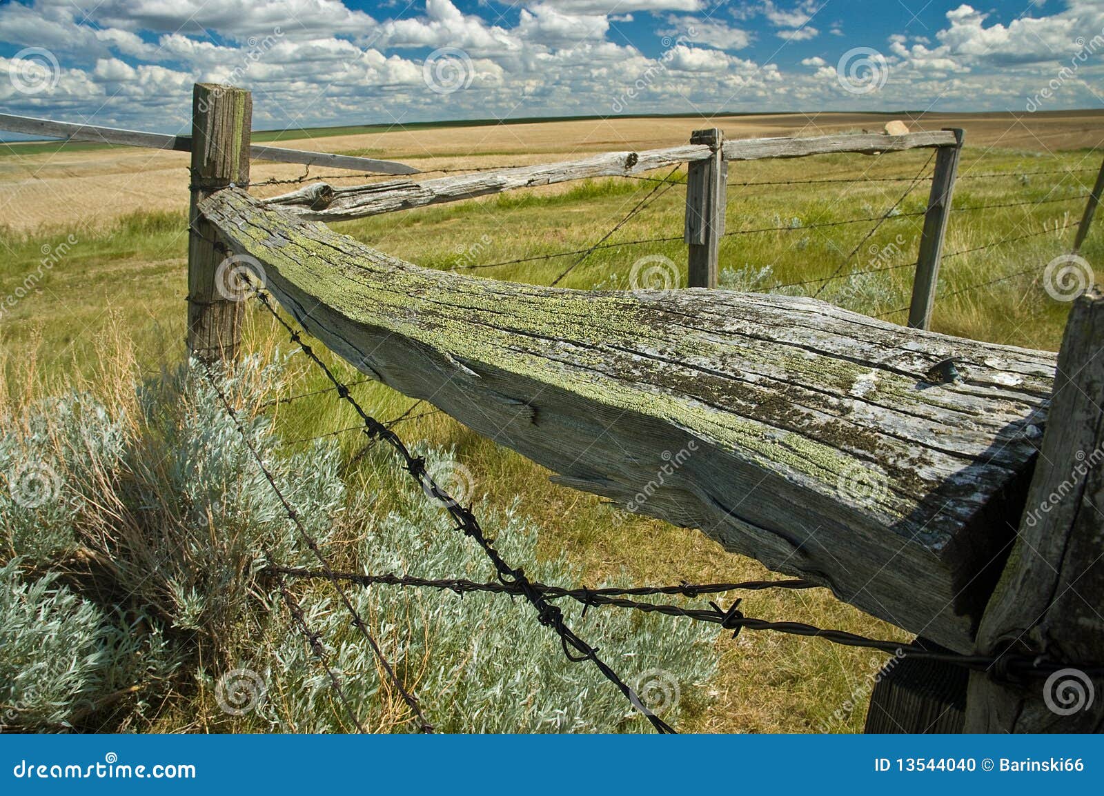Wood and Wire Fence stock photo. Image of wire, barb - 13544040