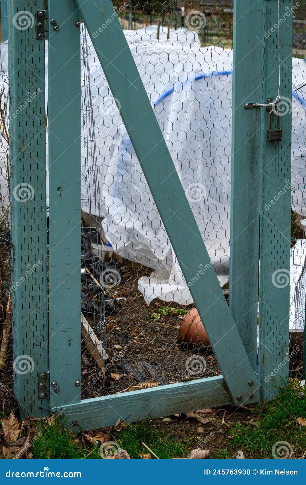 Wood and Wire Mesh Gate into a Winterized Kitchen Garden, Plants ...