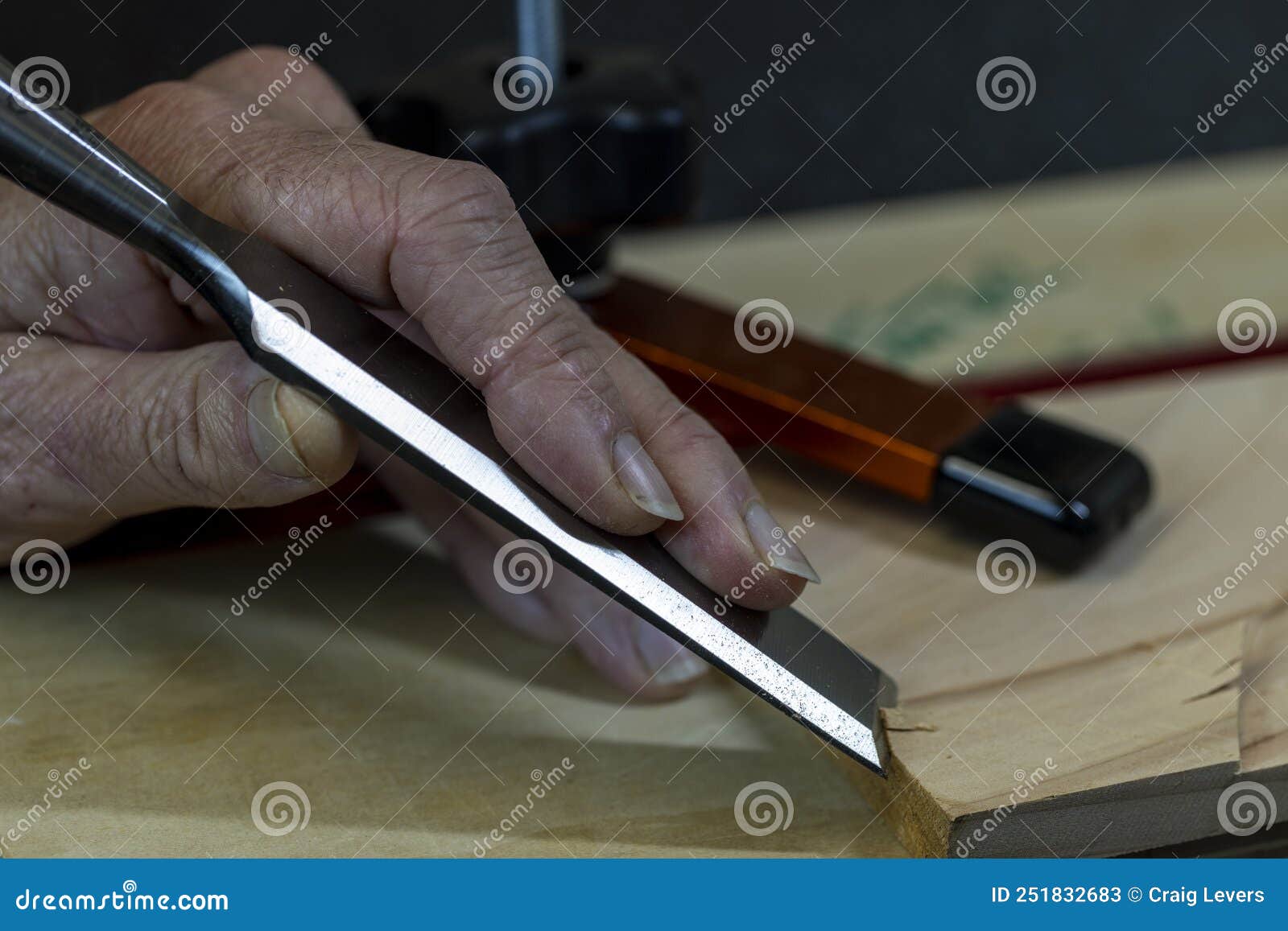 Wood Chisel Detail stock image. Image of chiseling, carefully - 251832683