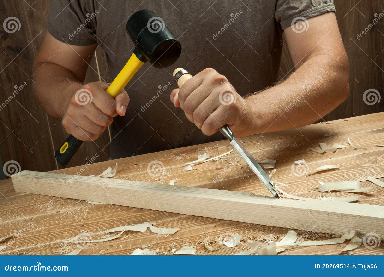Wood working stock photo. Image of renovation, equipment - 20269514