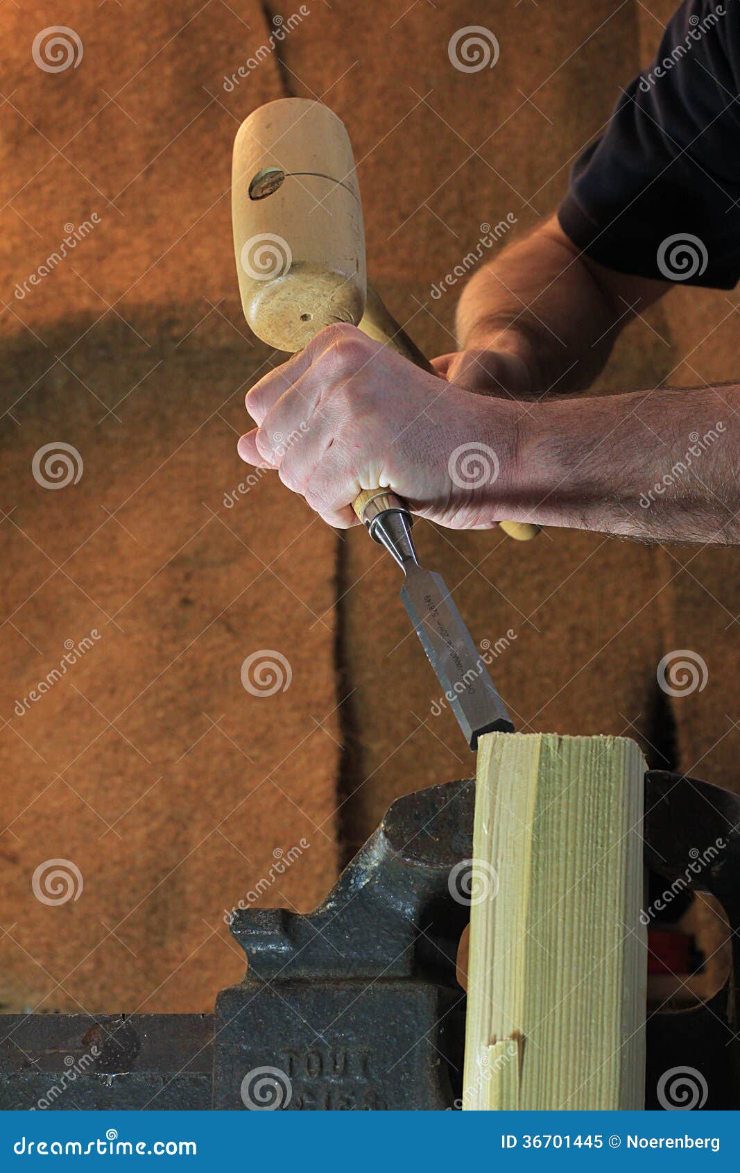 Wood working with a chisel stock image. Image of handcraft - 36701445