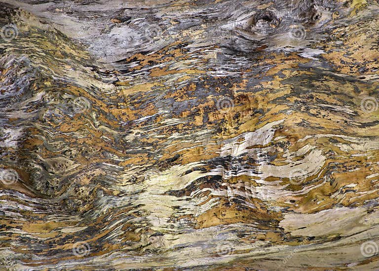 Wood and worn bark. stock image. Image of detail, horizontal - 170612893