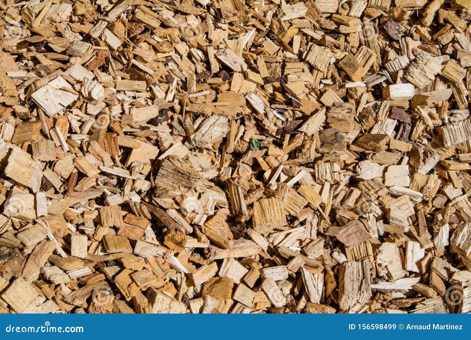 Biomass Waste Plant Inside Stock Image | CartoonDealer.com #60021001