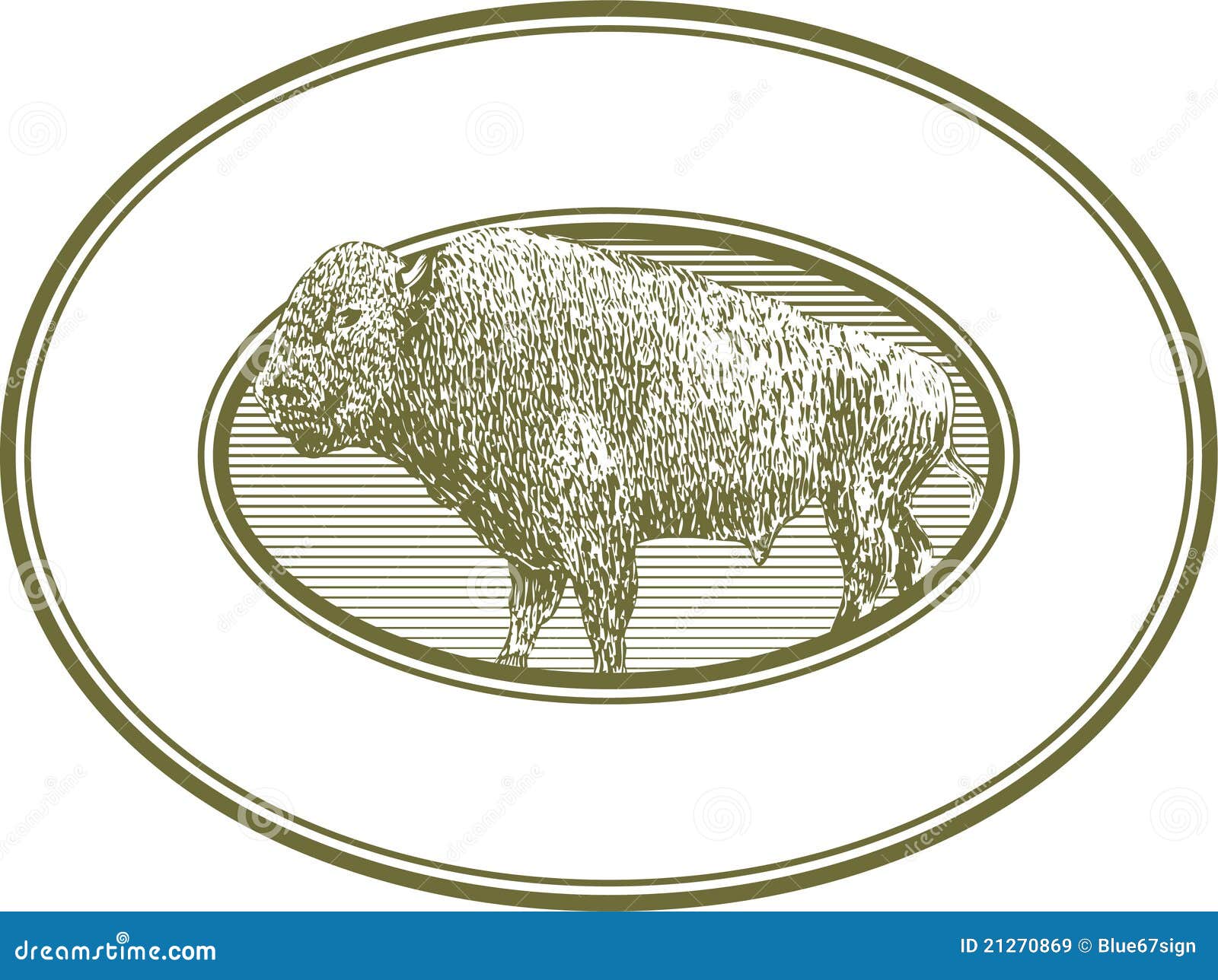 Woodcut Bison Label stock vector. Illustration of reliability - 21270869