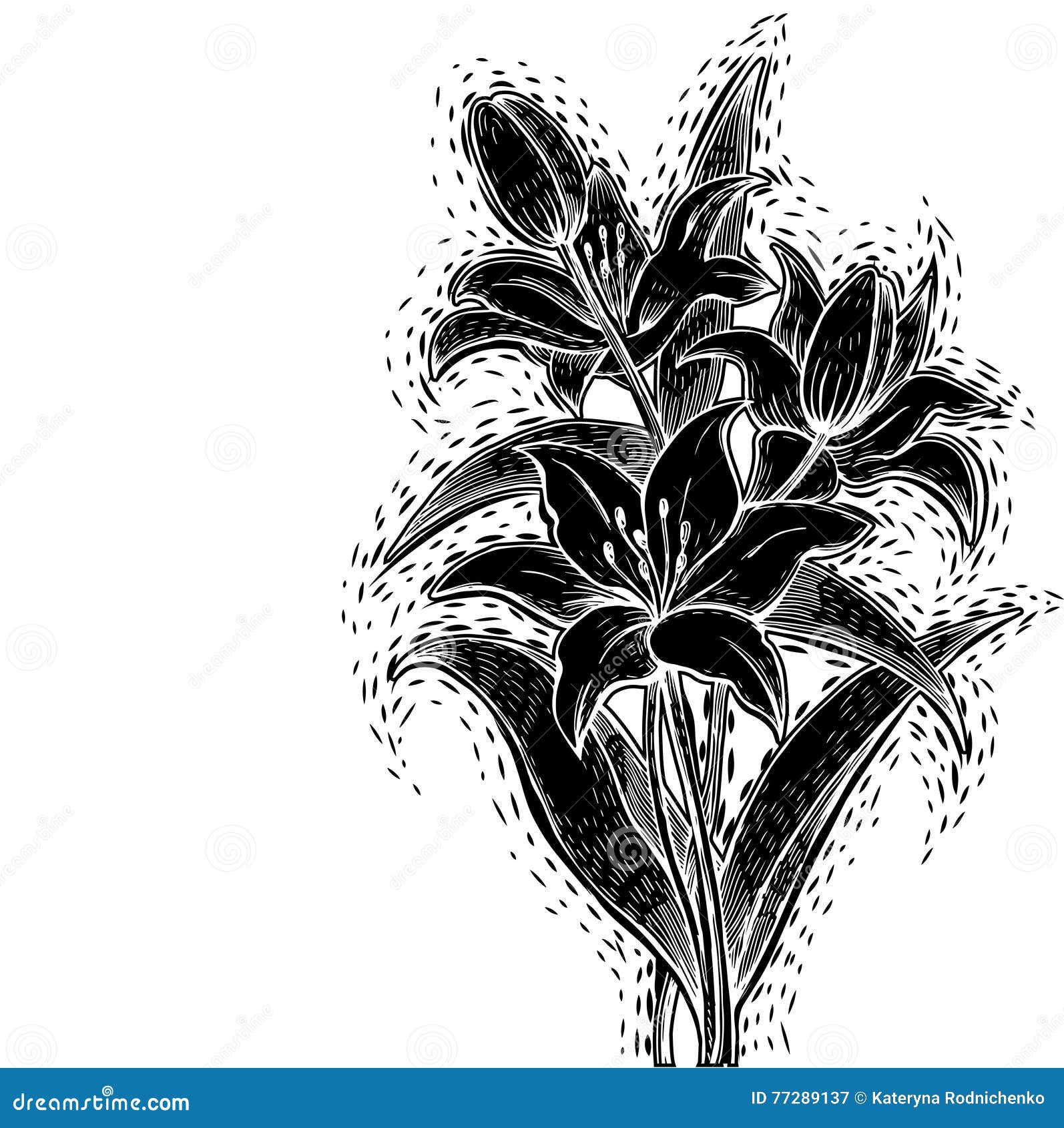 Woodcut black lily stock vector. Illustration of plant - 77289137