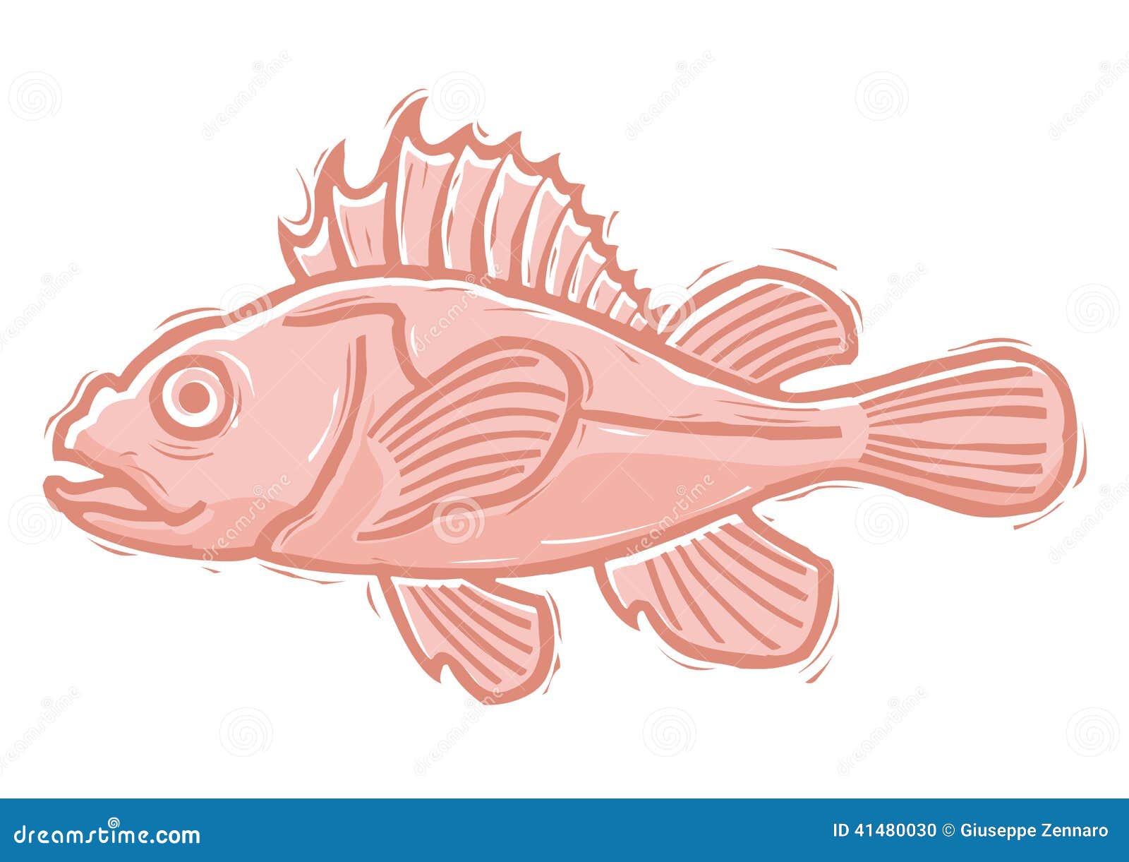 Woodcut Rockfish Vector Illustration | CartoonDealer.com #41480030