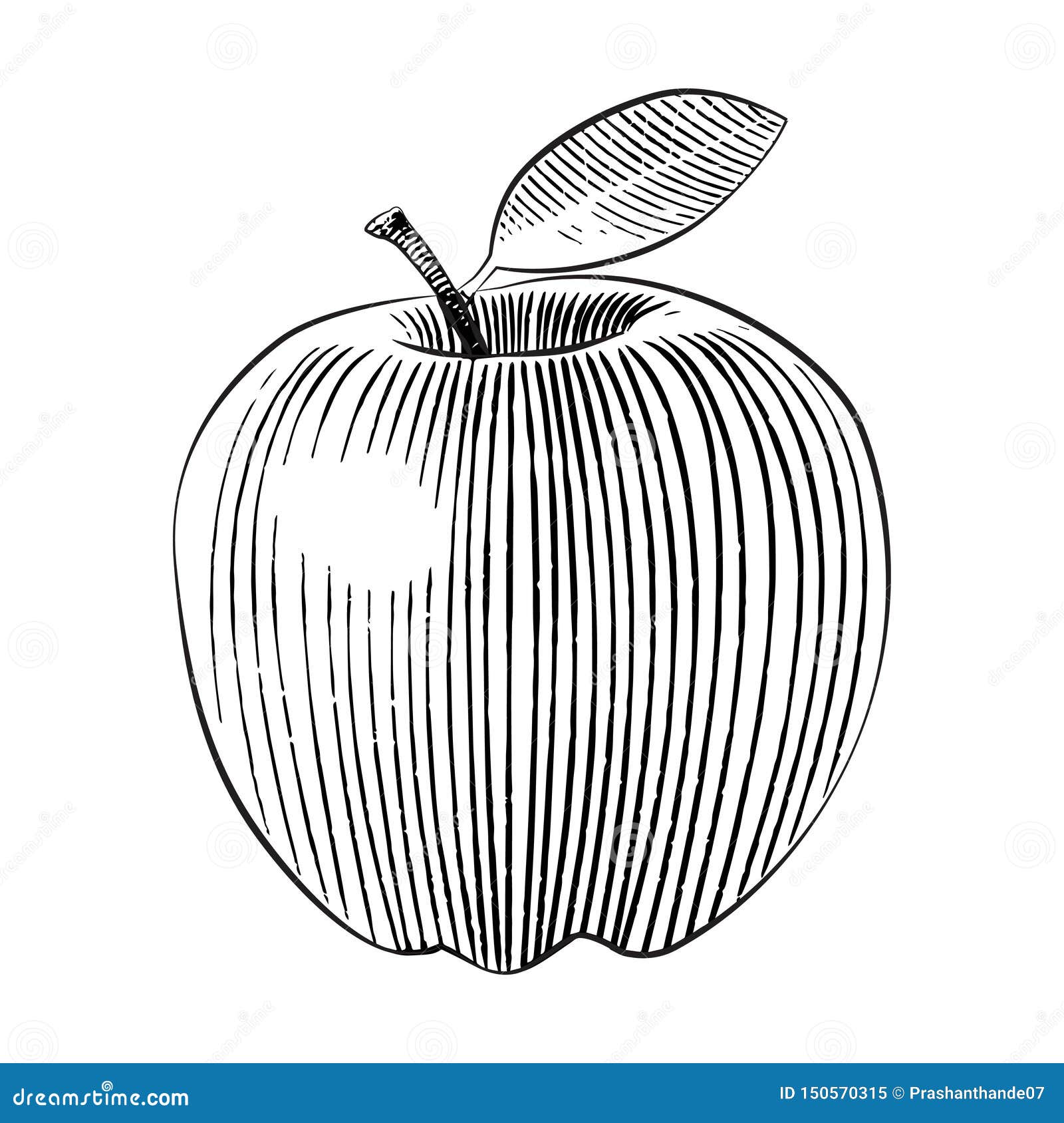 Woodcut Style Apple Illustration Line Art Stock Illustration ...