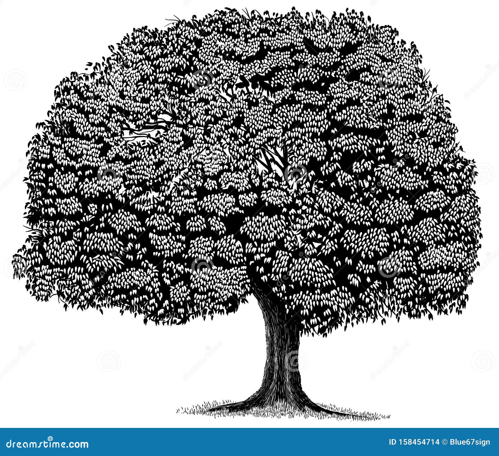 Woodcut Tree stock vector. Illustration of stability - 158454714