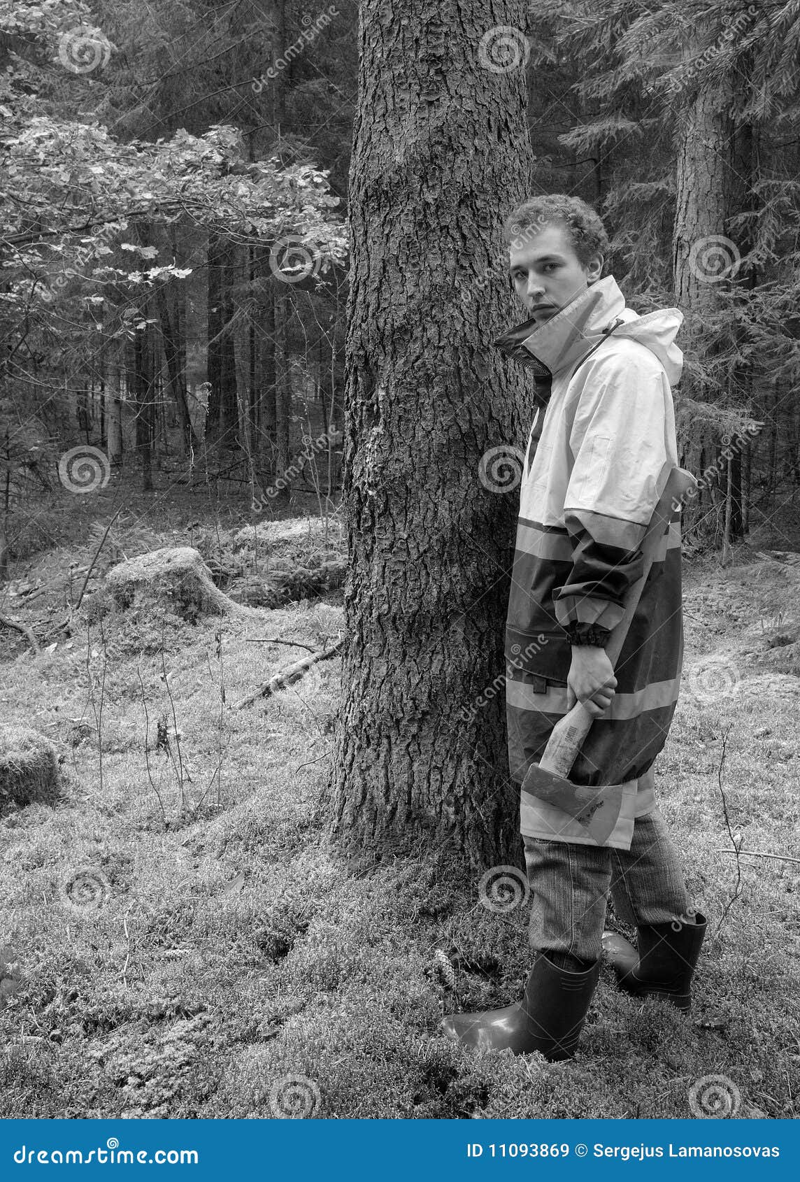 Woodcutter stock image. Image of cutting, concepts, outdoors - 11093869