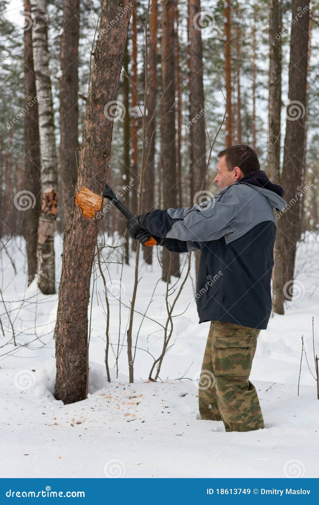 Woodcutter stock image. Image of outdoors, worker, snow - 18613749