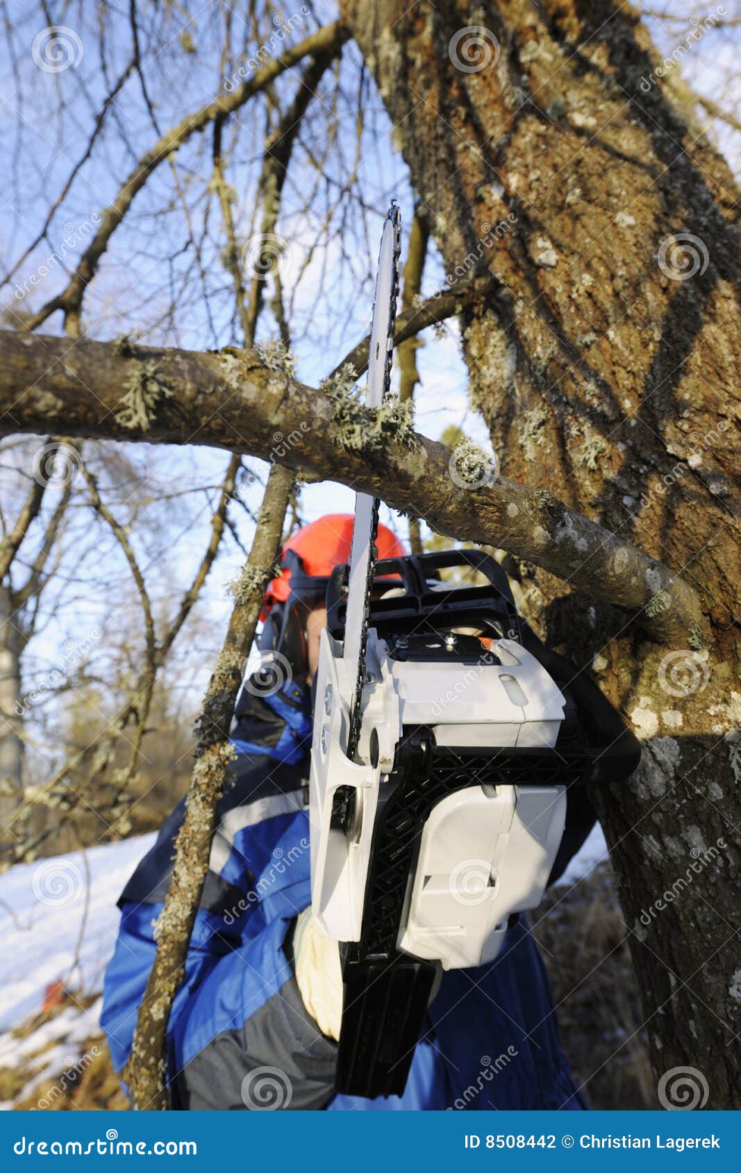 Woodcutter in action stock photo. Image of outdoors, people - 8508442