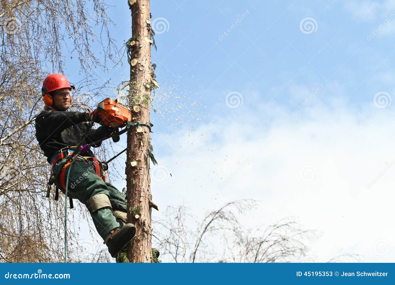 Woodcutter Royalty-Free Stock Photography | CartoonDealer.com #37154009