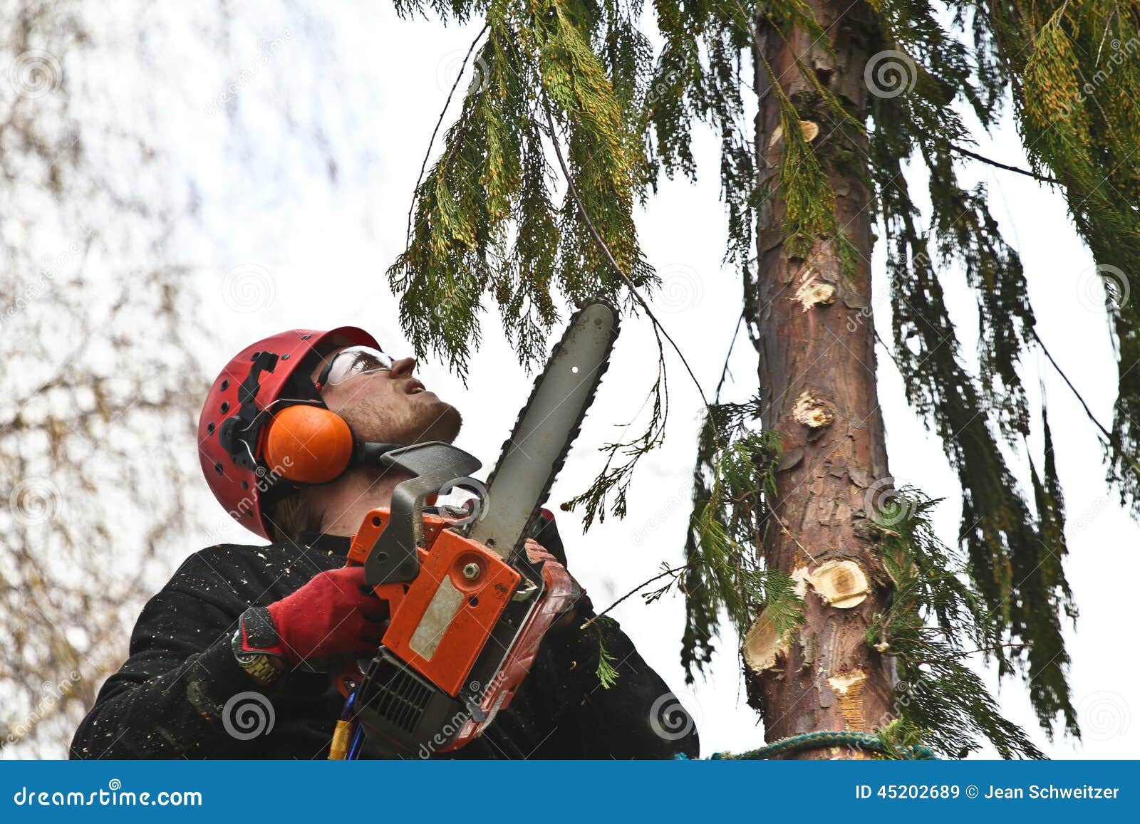 Woodcutter stock image. Image of wood, work, woodman - 45202689