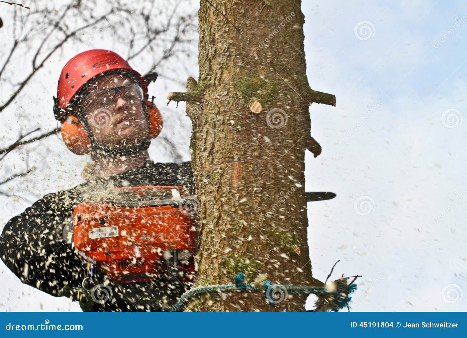Woodcutter Closeup in Action in Denmark Stock Photo - Image of work ...