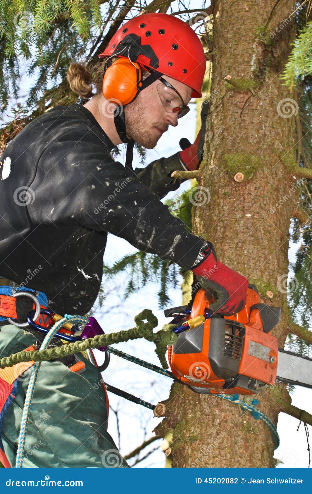 Woodcutter Closeup in Action in Denmark Stock Photo - Image of ...