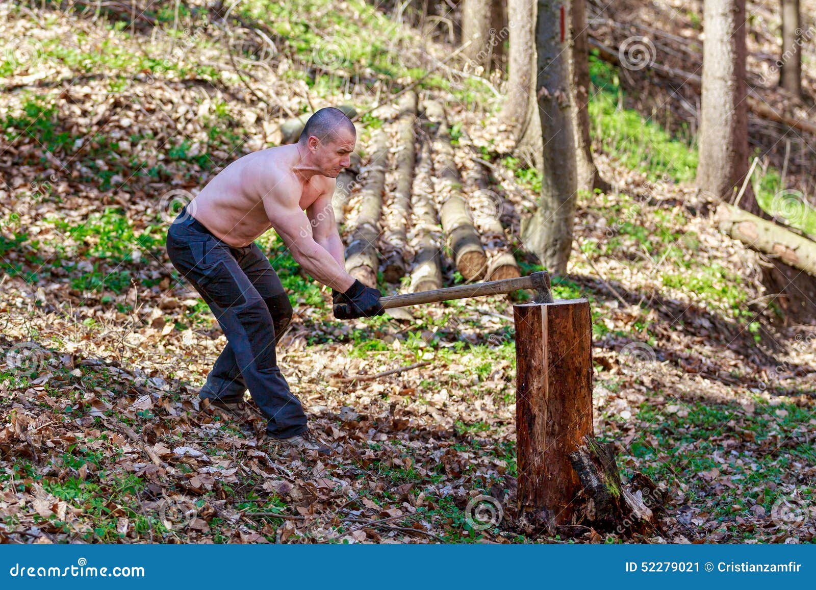 Woodcutter Cut a Trunk with an Ax Stock Image - Image of industry ...