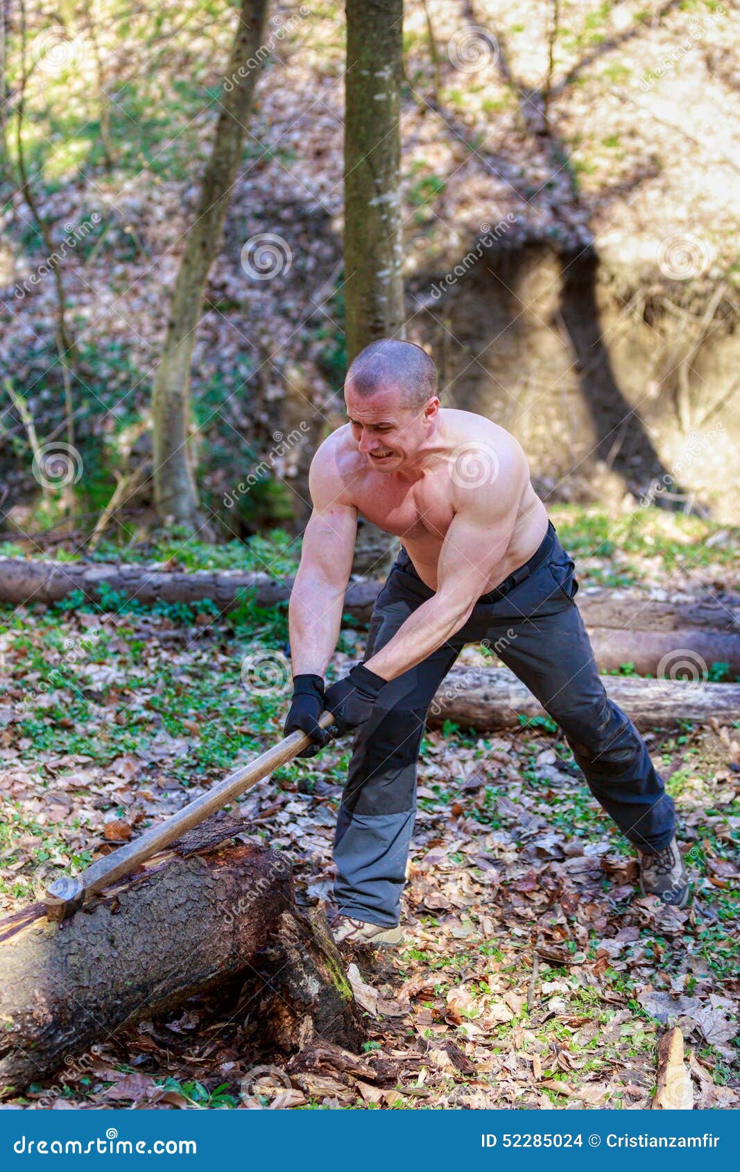 Woodcutter Cut a Trunk with an Ax Stock Photo - Image of green, tree ...