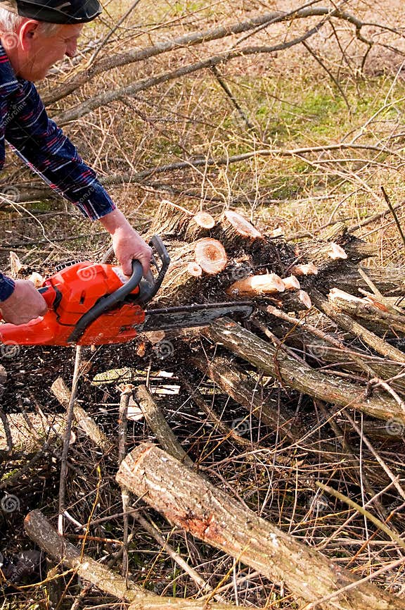Woodcutter Cutting Broken Tree Stock Image - Image of branches, cutting ...