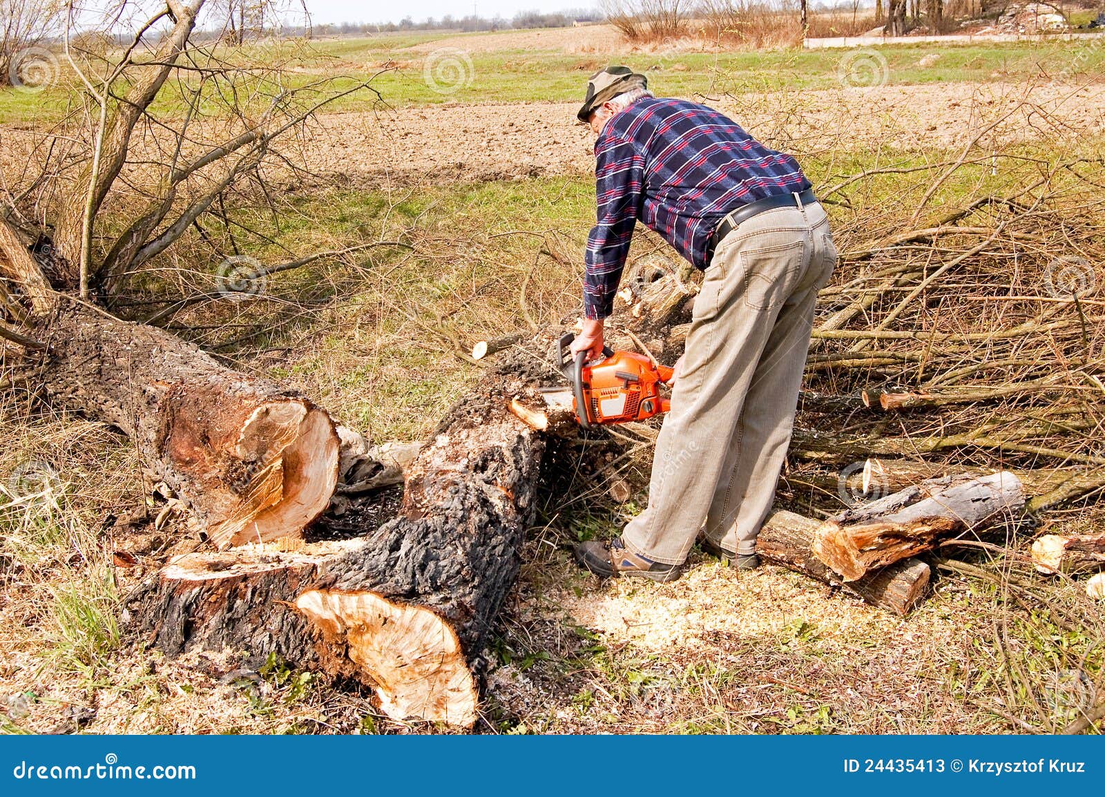 Woodcutter Cutting Broken Tree Stock Image - Image of trees, tree: 24435413
