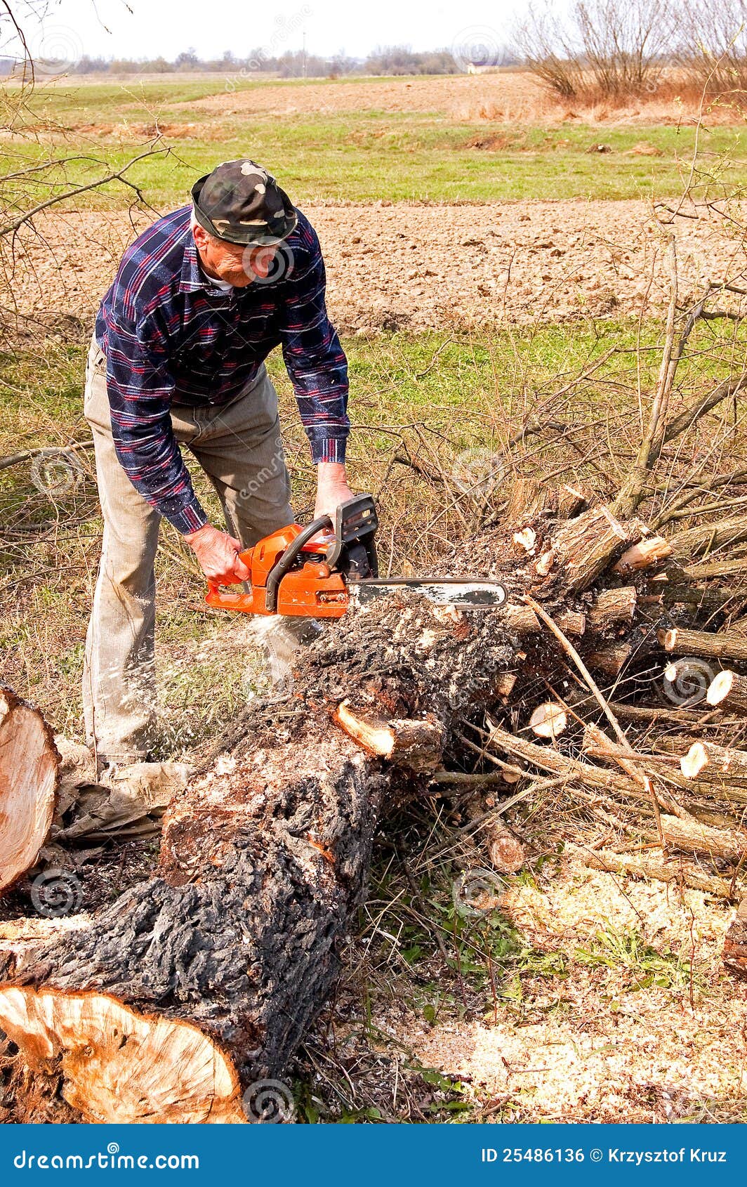 Woodcutter Cutting Broken Tree Stock Photo - Image of gloves, fractured ...
