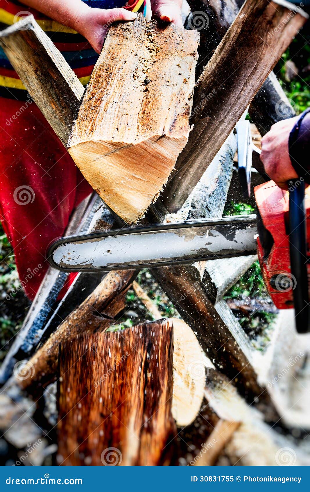 Woodcutter Cutting a Tree for Firewood Stock Image - Image of wood ...