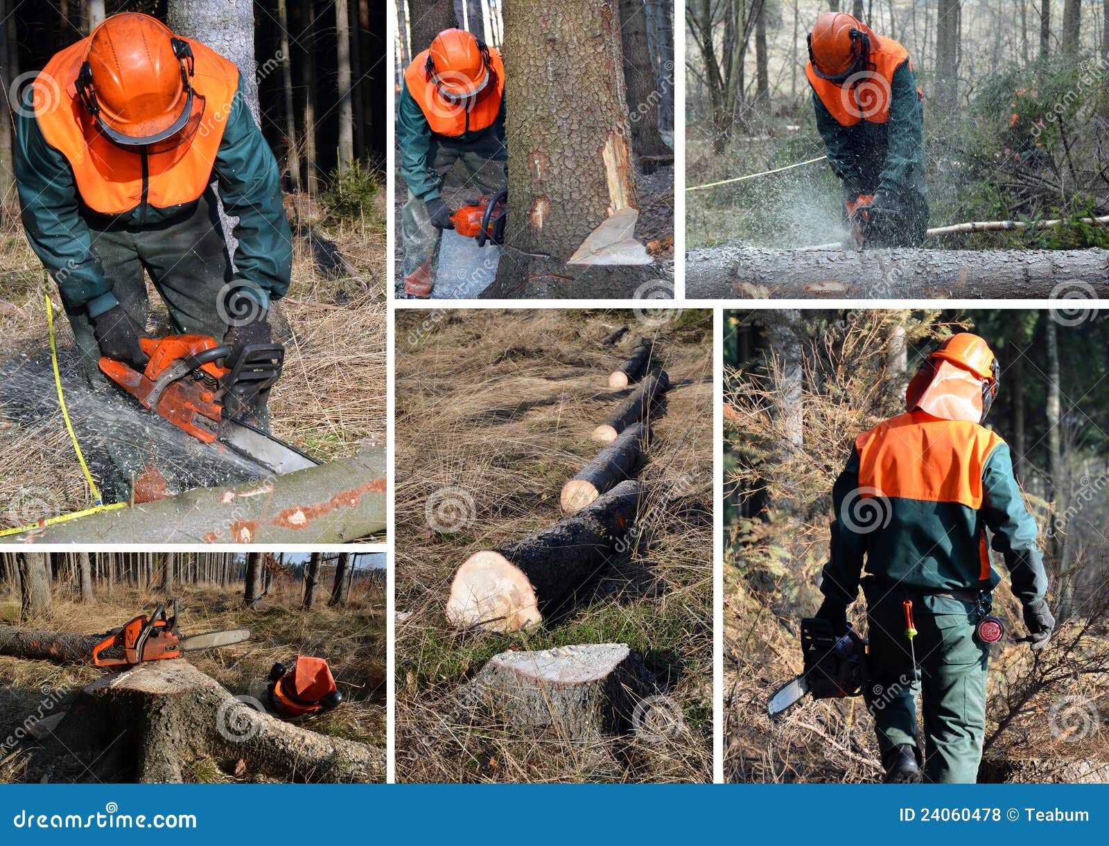 Woodcutter, Forest Work Set Stock Photo - Image of cutting, gloves ...