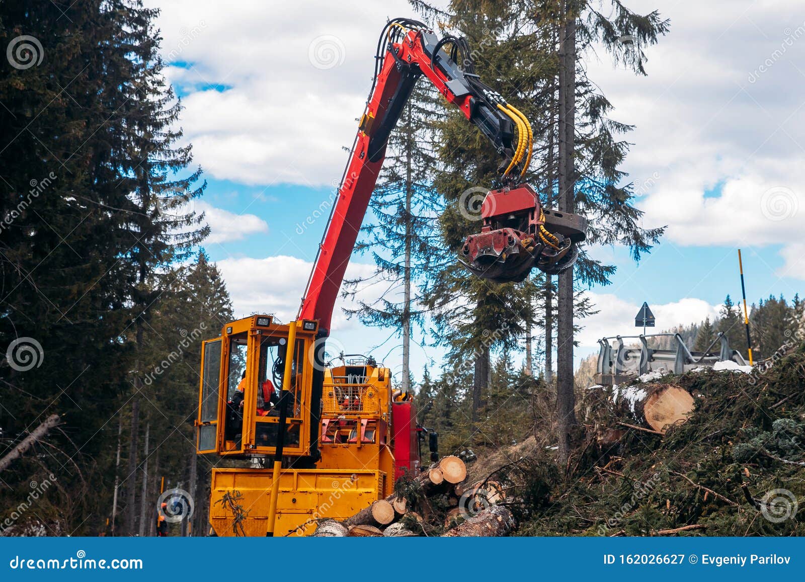 Woodcutter Saws Tree Harvester Working in Forest Stock Image - Image of ...