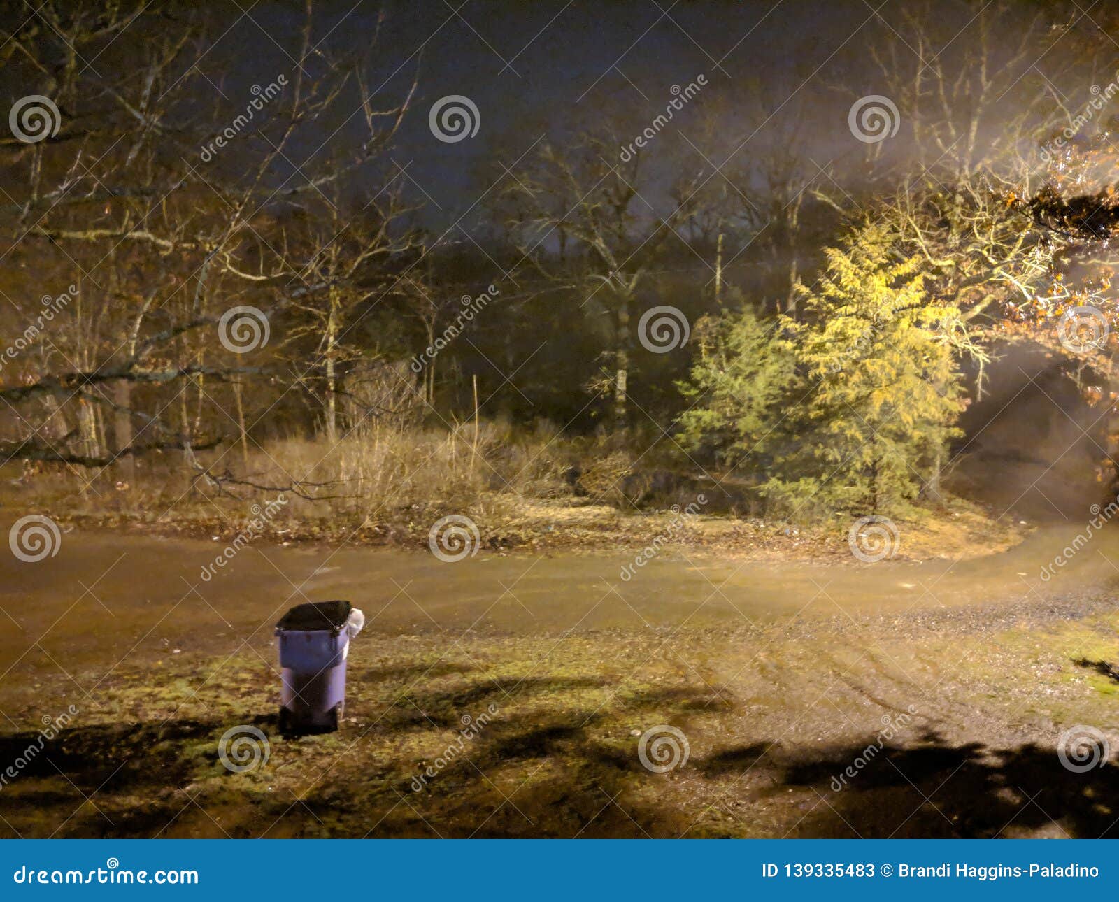 Wooded niight stock image. Image of house, wooded, outside - 139335483