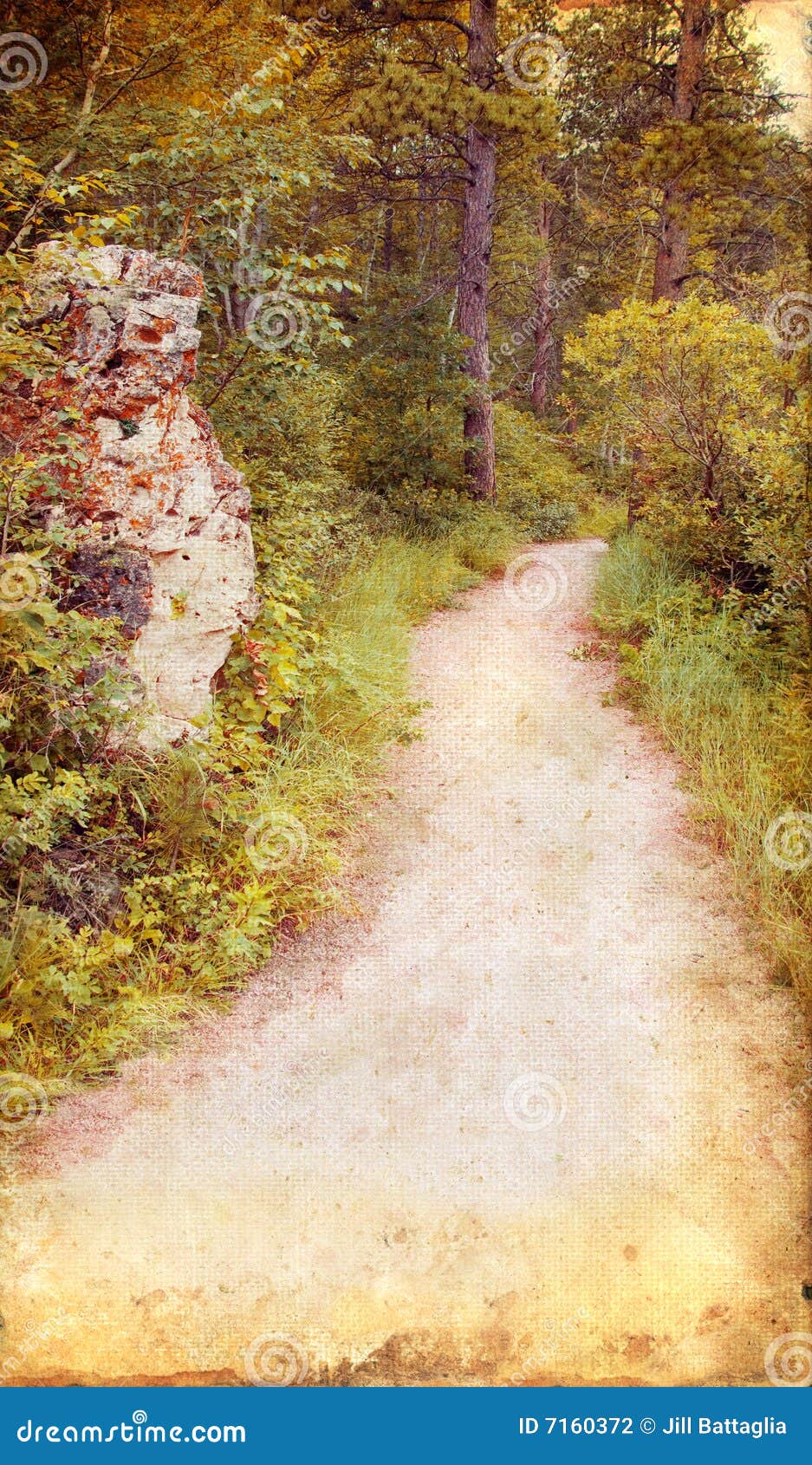 Wooded Path on Grunge Background Stock Photo - Image of textured ...