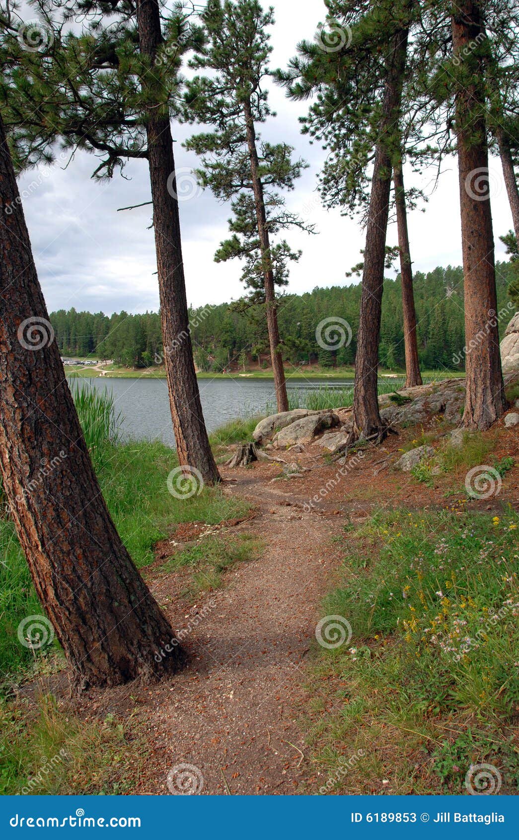 Wooded Path by a Lake stock image. Image of adventure - 6189853