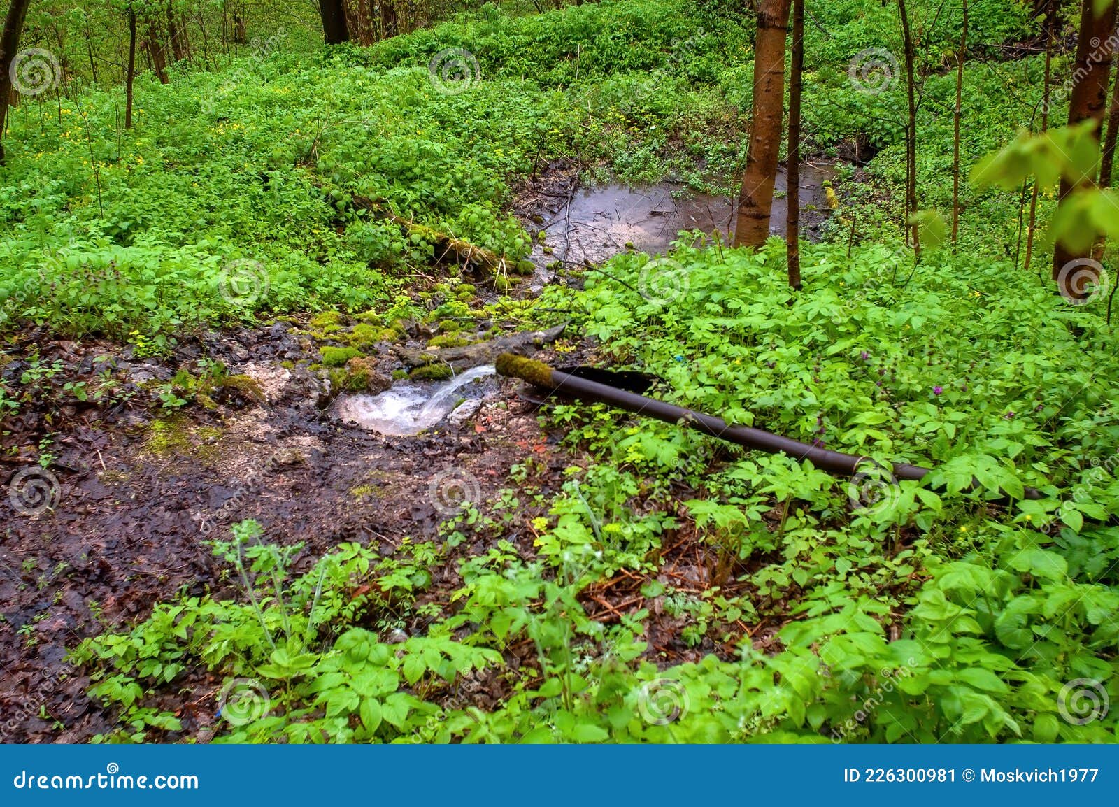 Wooded River Valley With Rocks Stock Image | CartoonDealer.com #119353513