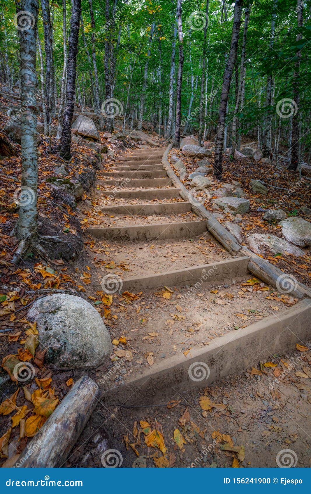 Wooded Steps To The Burning Mountain Walking Track NSW Australia ...