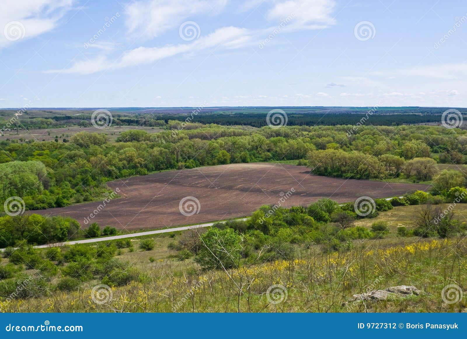 Wooded valley stock photo. Image of bushes, field, forest - 9727312