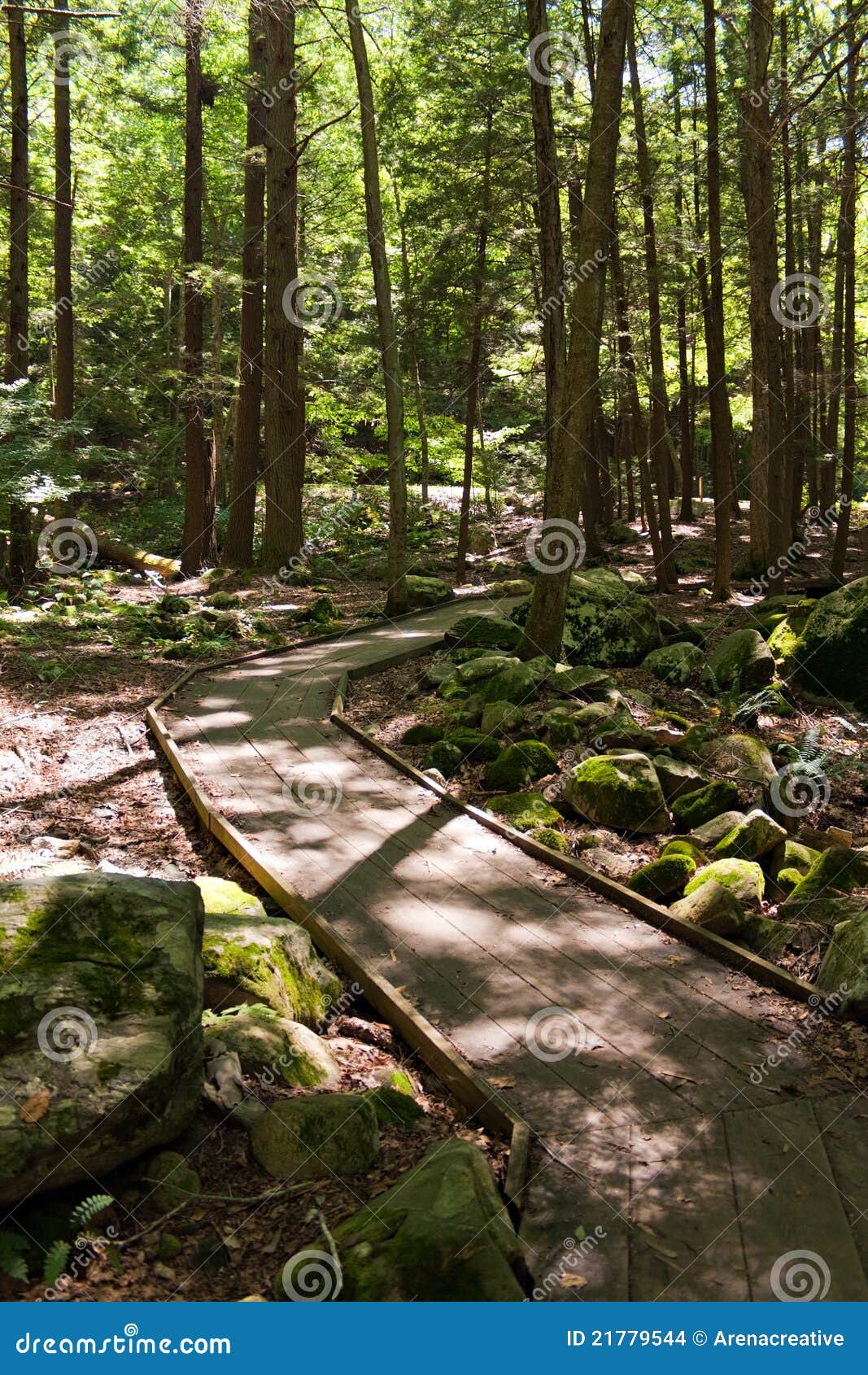 Wooded Walking Path stock photo. Image of posts, green - 21779544