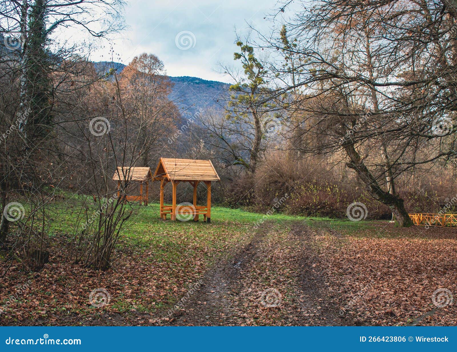 Wooden Alcoves in the Forest Surrounded by Deciduous Trees Stock Photo ...