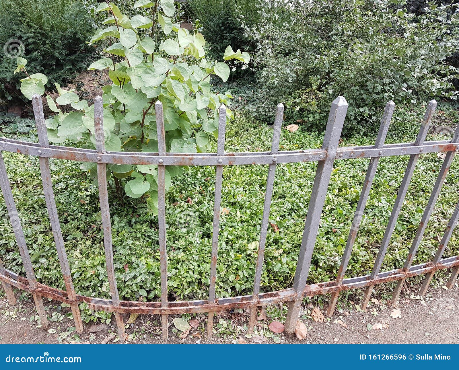 Wooden Ancient Fence in the Garden. Stock Photo - Image of black ...
