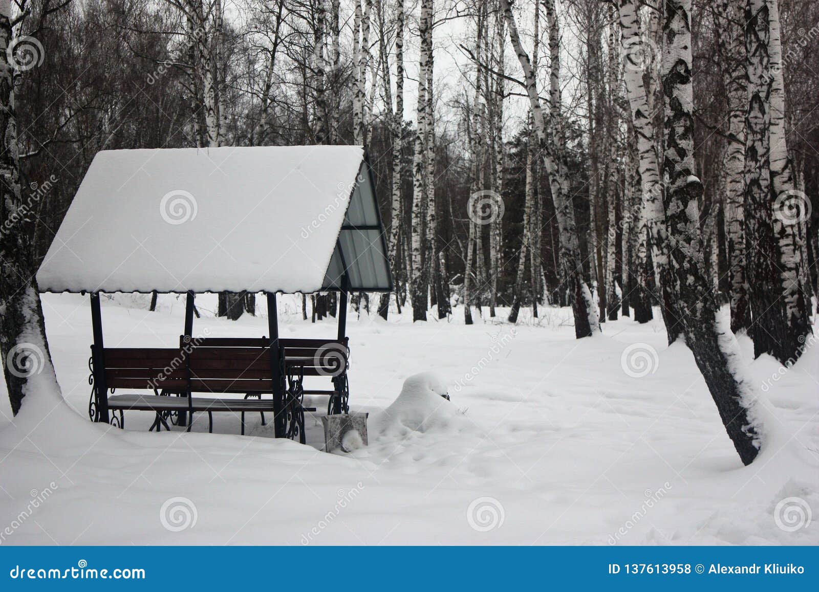 Wooden Arbor in a Birch Grove in Winter Stock Photo - Image of open ...