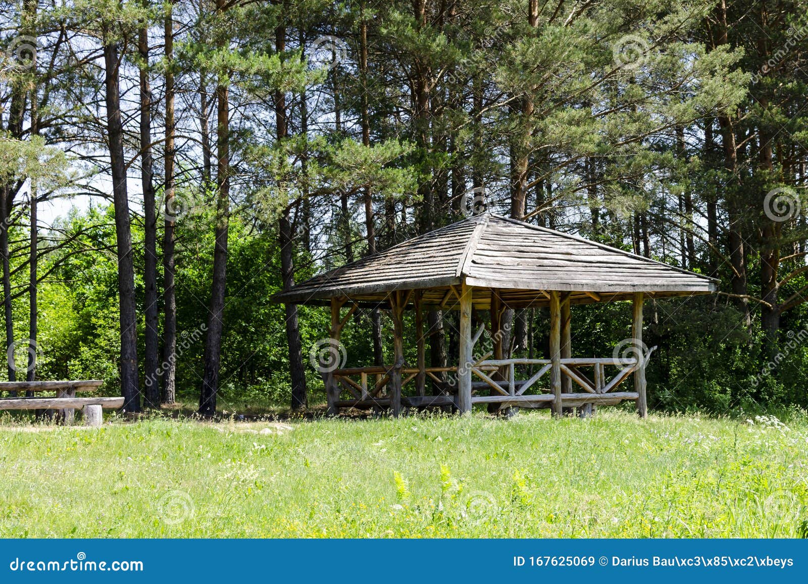 Wooden Arbor at the Edge of the Pine Forest Stock Image - Image of ...