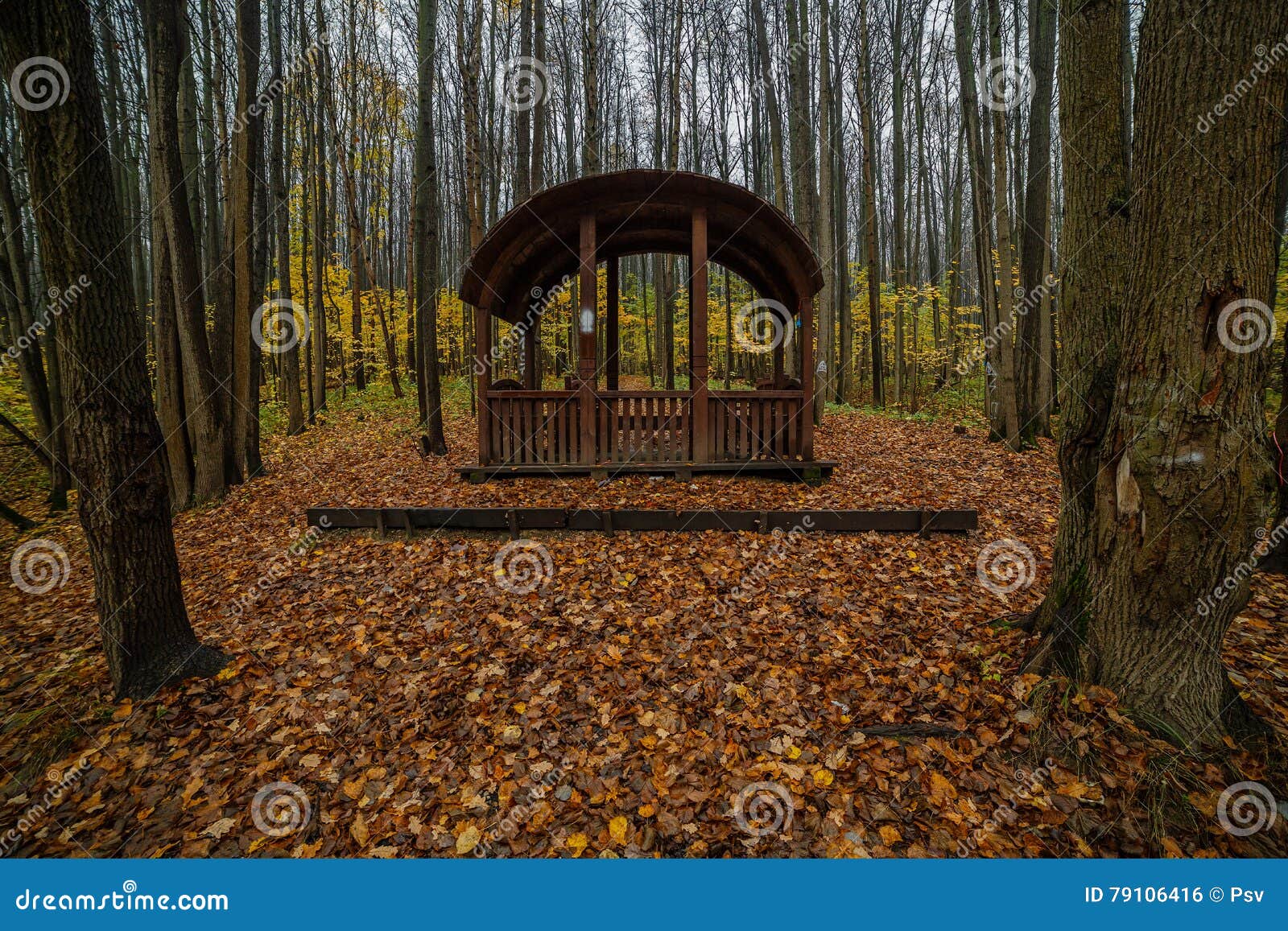 Wooden arbor in the forest stock photo. Image of park - 79106416