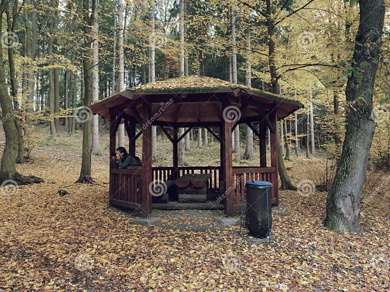 Wooden Arbor or Pavilon in Leaves Forest in Fall Season Editorial Image ... Wooden Arbor or Pavilon in Leaves Forest in Fall Season Editorial Image ...