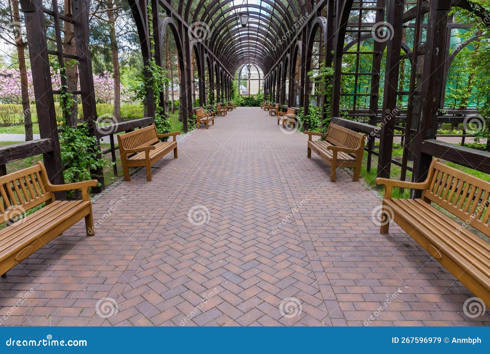 Wooden Arched Pergola with Benches in the Spring Park Stock Image ...