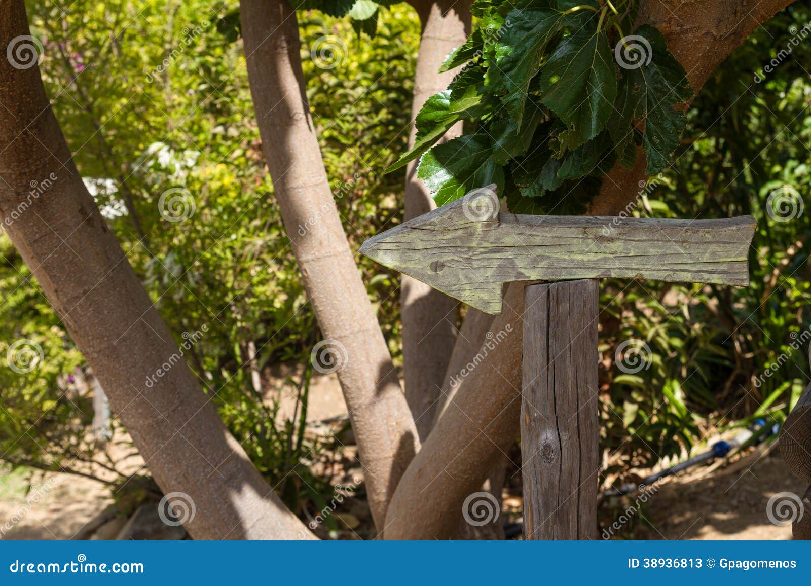 Wooden Arrow Directional Sign. Stock Image - Image of idyllic, peaceful ...