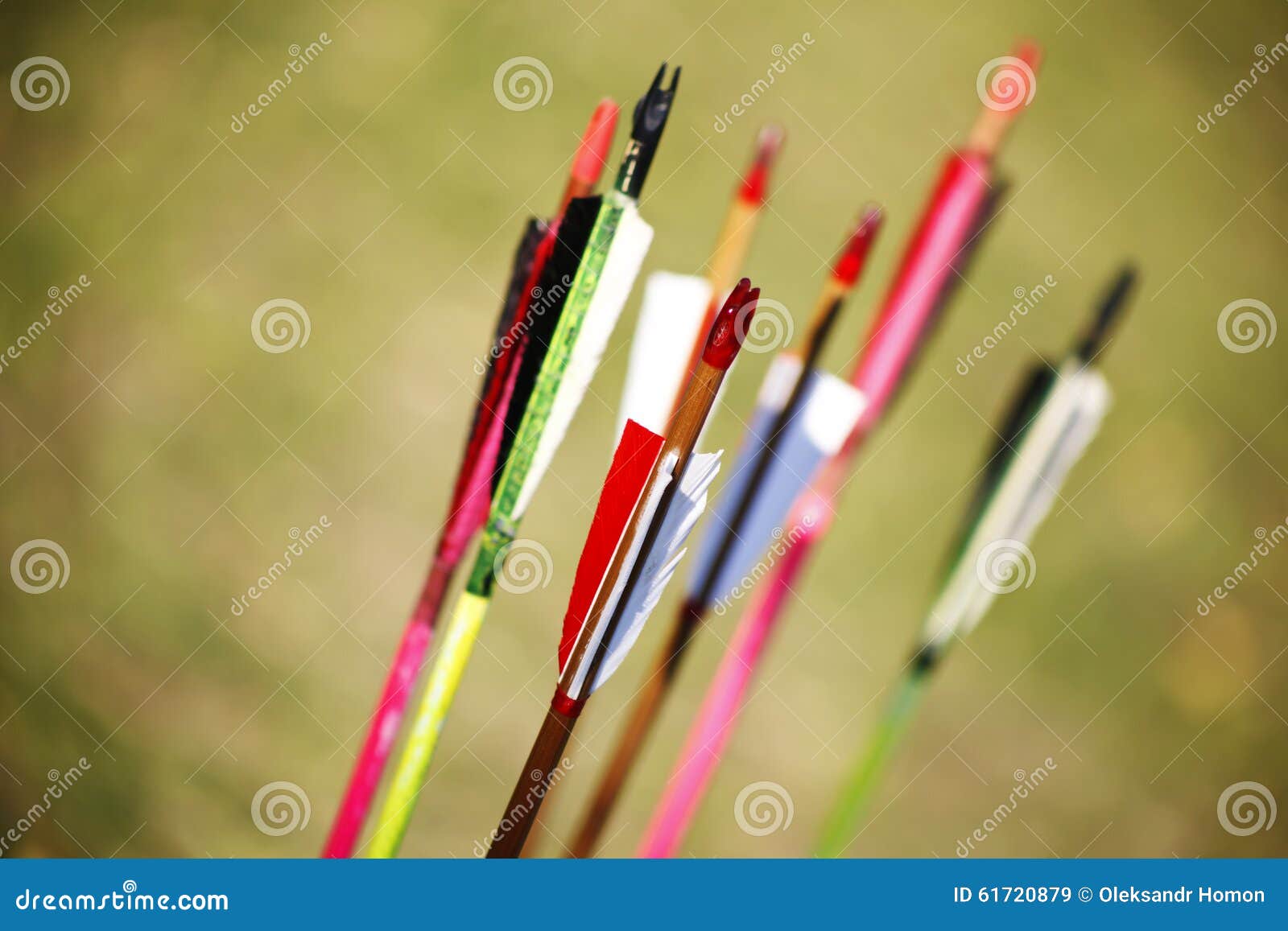 Wooden Arrows for the Bow Close Up Stock Image - Image of person, sharp ...