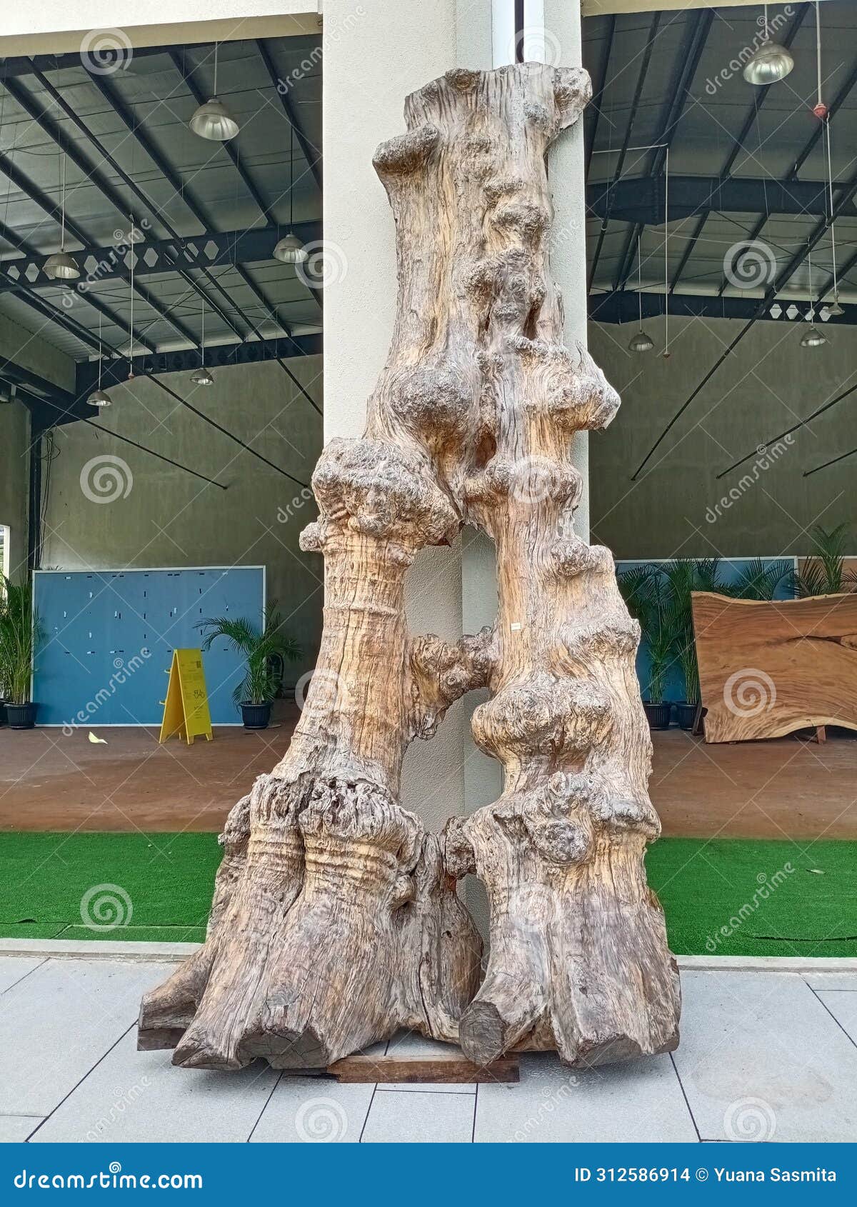 Wooden Artwork from Tree Trunks. a Work of Art that is Natural, Unique ...
