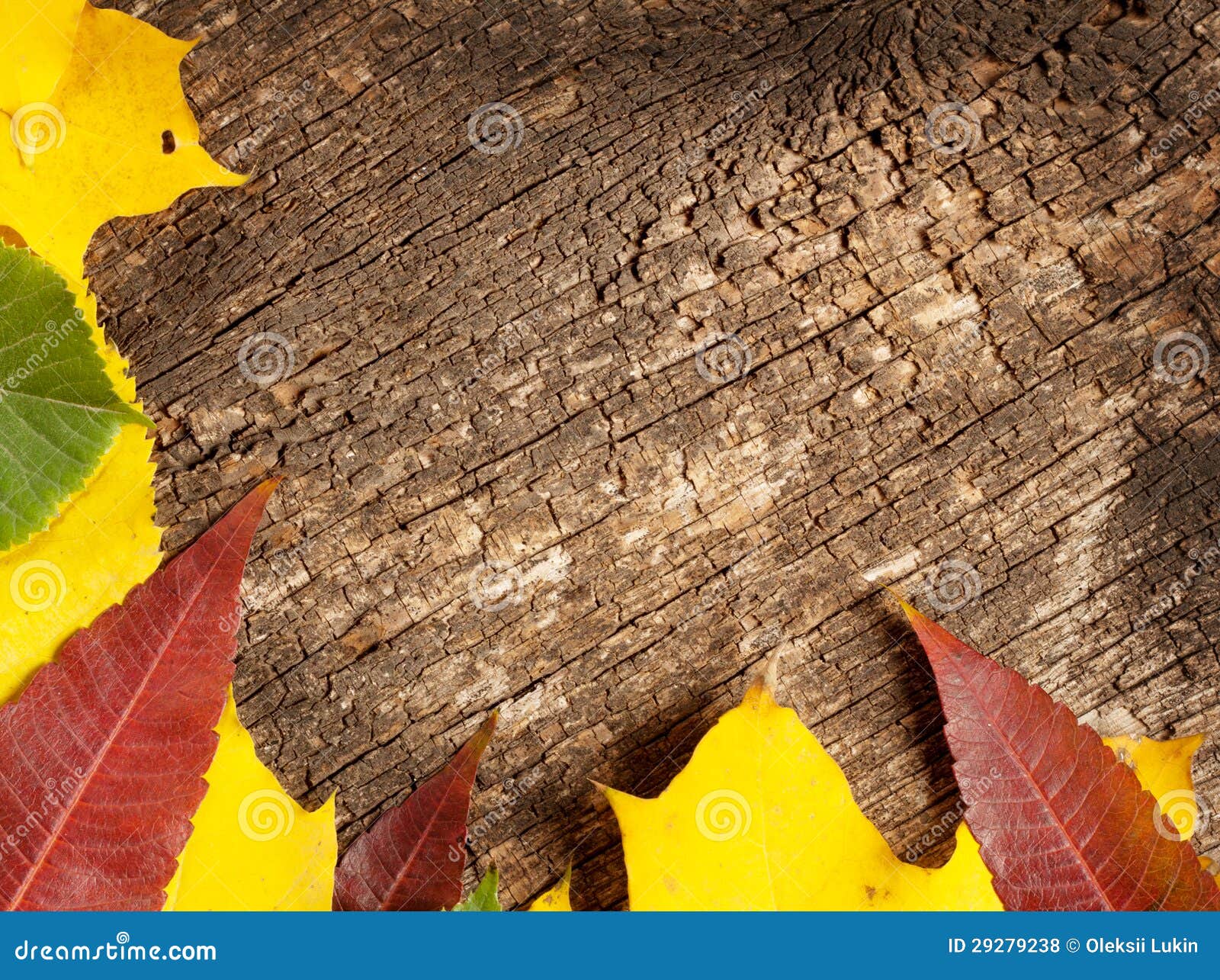 Wooden Background with Autumn Leaves Stock Photo - Image of table ...