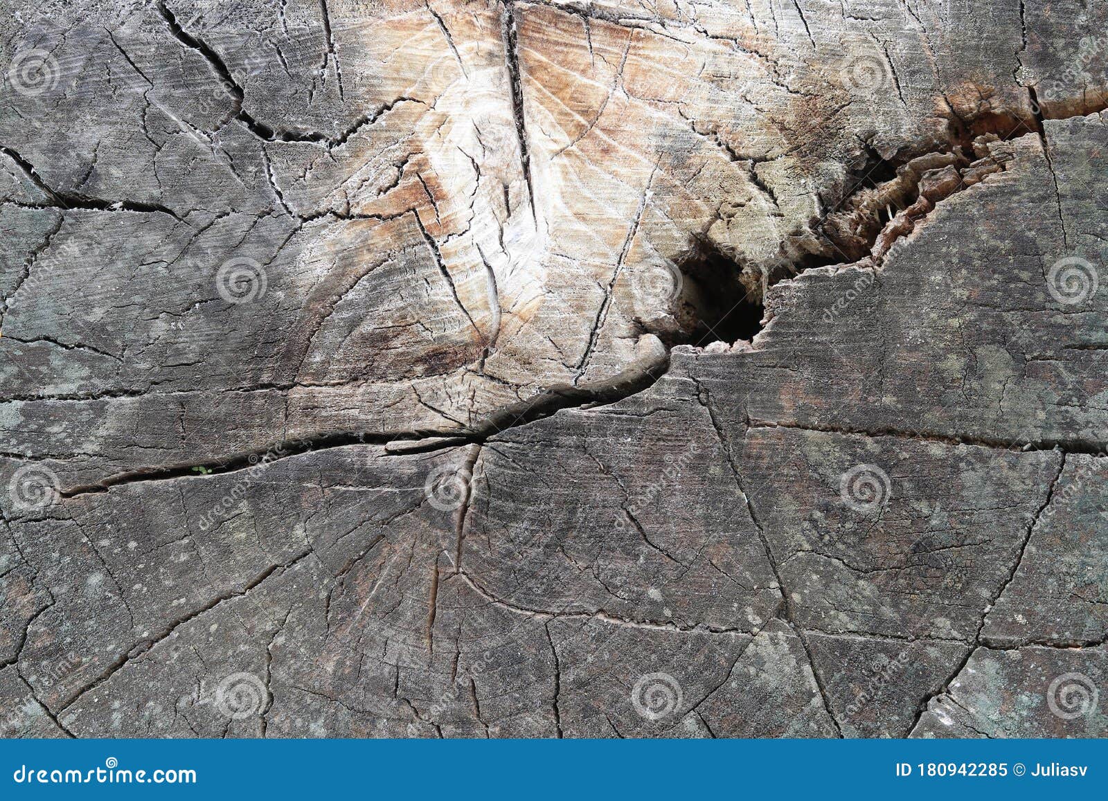 Wooden Background with Beautiful Texture of Old Tree with Elements of ...