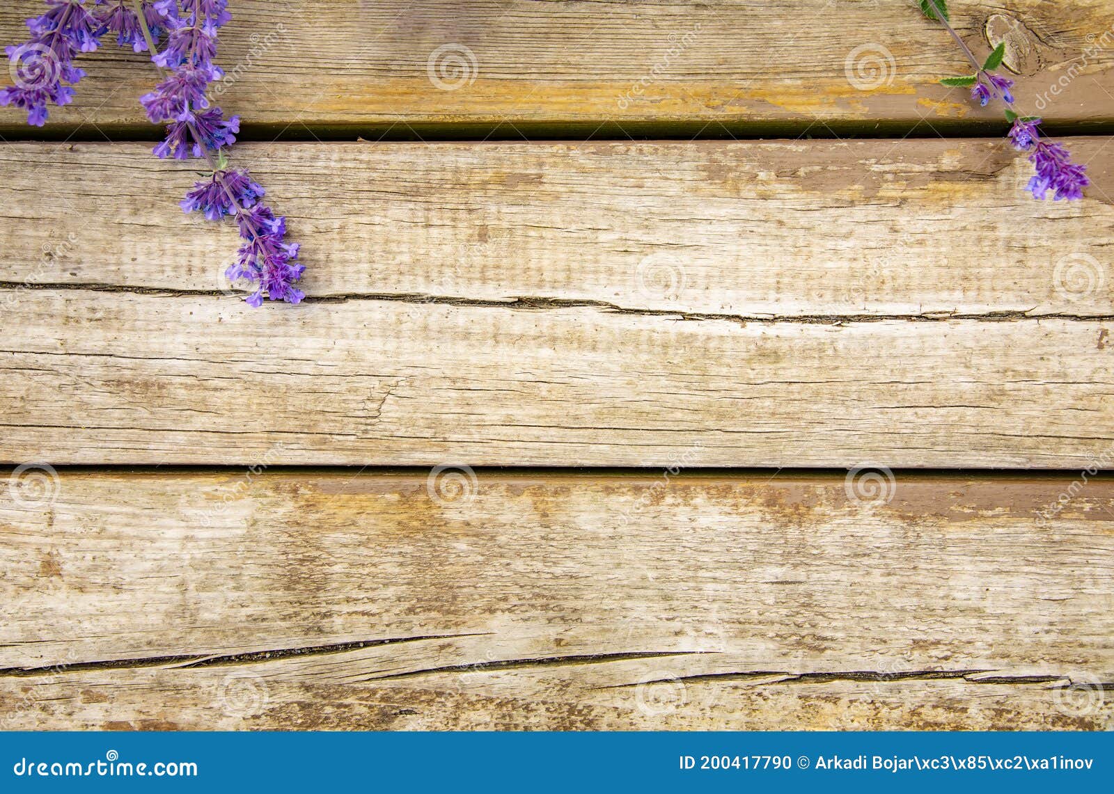 Wooden Background with Flowers Stock Photo - Image of flooring, light ...
