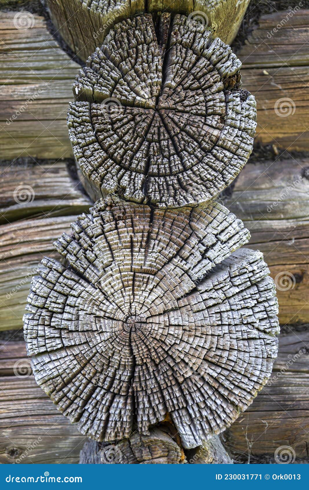 Wooden Background in the Form of a Cut of an Old Log Stock Image ...